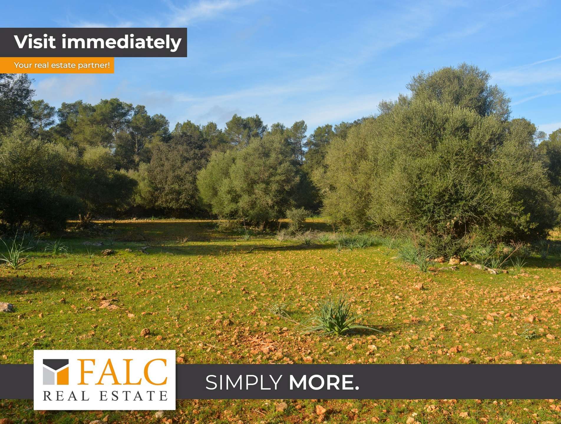 ¡Puro idilio! Finca señorial con casa antigua para reconvertir